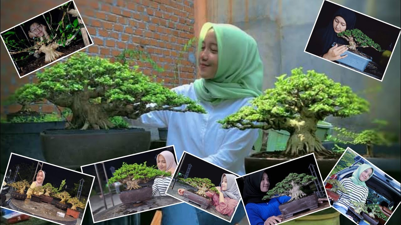 8jt 9jt 10jt... 😍 SEMAKIN LAMA SEMAKIN MATENG SEMAKIN MATENG SEMAKIN ...