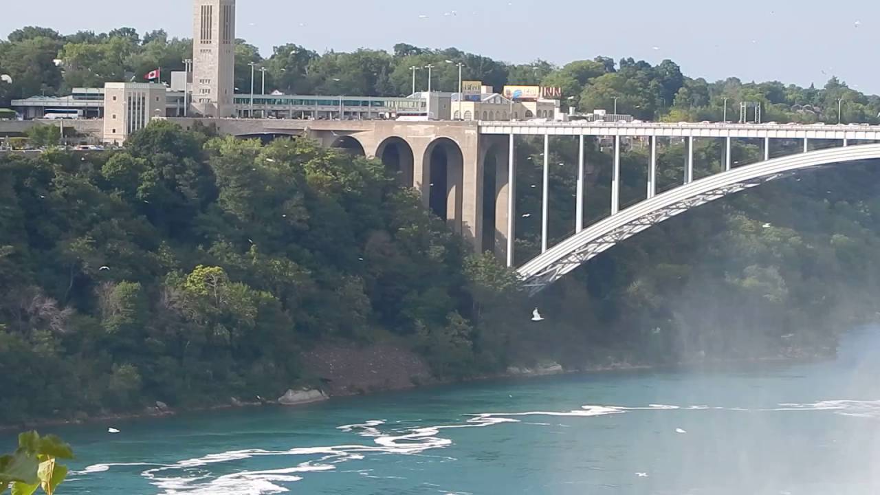 Seagulls Over American Falls - YouTube
