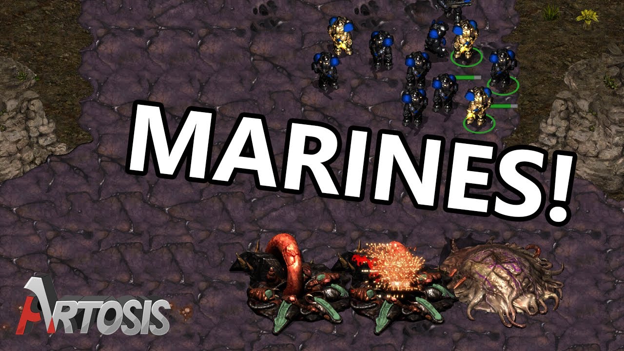 Terran Goes on a Zerg Hunt - Hm vs. IcaruS - YouTube