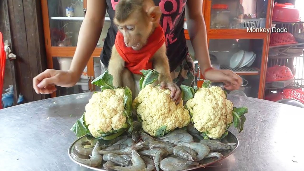 What's Food Dodo Cooking For Lunch - YouTube