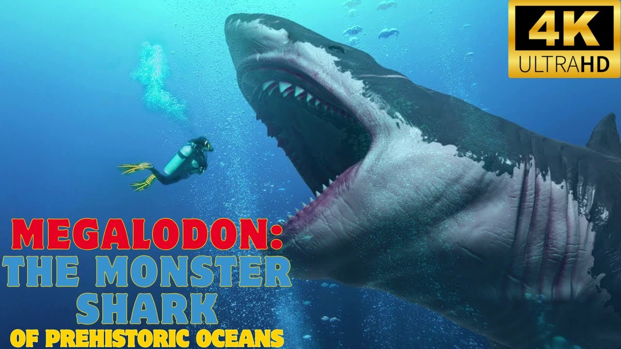 Megalodon The Monster Shark of Prehistoric Oceans | Learn English with ...