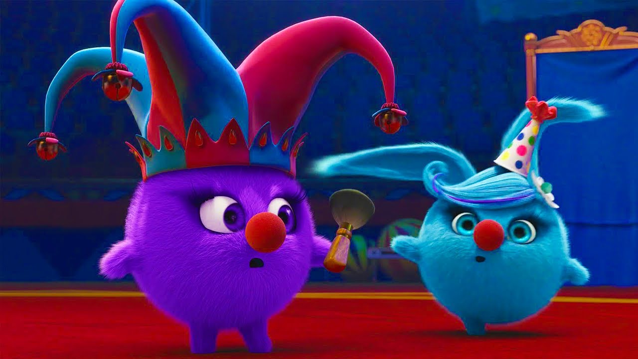 CIRCUS SHOW | SUNNY BUNNIES COMPILATIONS | Kids Cartoons - YouTube
