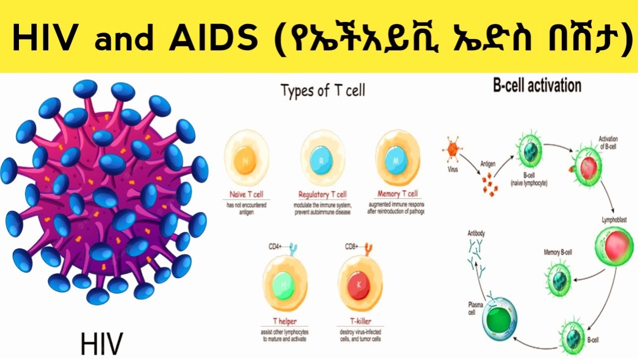 HIV and AIDS. Grade 9 Biology Lesson Unit 4. (#የኤችአይቪ ኤድስ በሽታ የ9ኛ ክፍል ...
