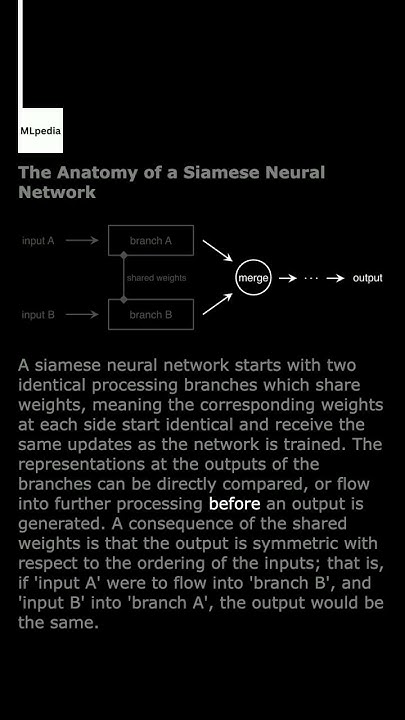 The Anatomy of a Siamese Neural Network - YouTube