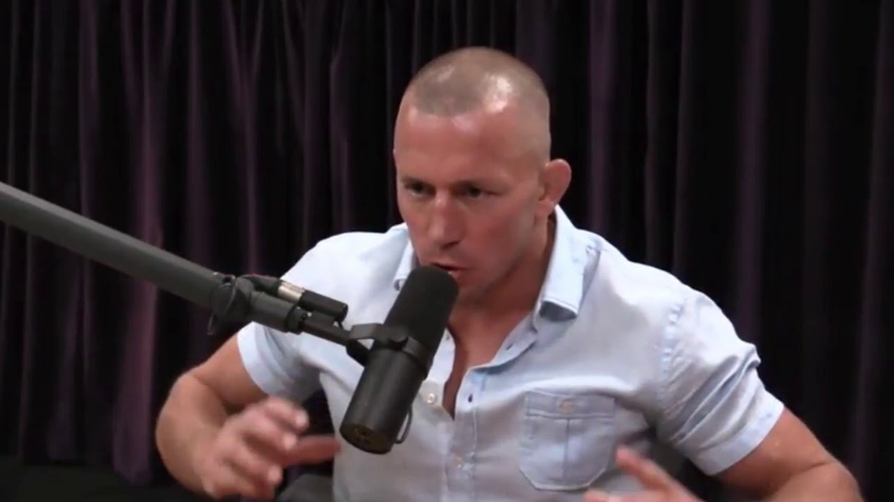 GSP "Fighting is Not My Life" - Joe Rogan - YouTube