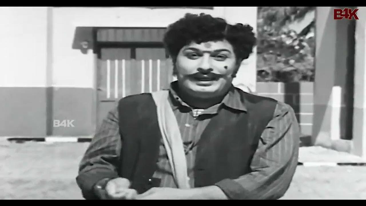 பல பல ரகமா இருக்குது | Pala Pala Rahama | T.M Soundararajan | MGR Hit Song | Anand Jothi | B4K ...