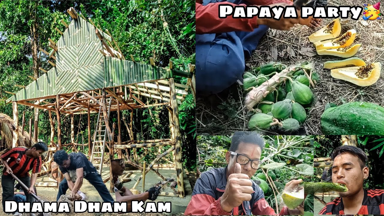 Papaya party 🥳 Kta haru lai || Hawa ghar ko Kam Jari cha🤗🤗 @Pratiim_Vlog - YouTube