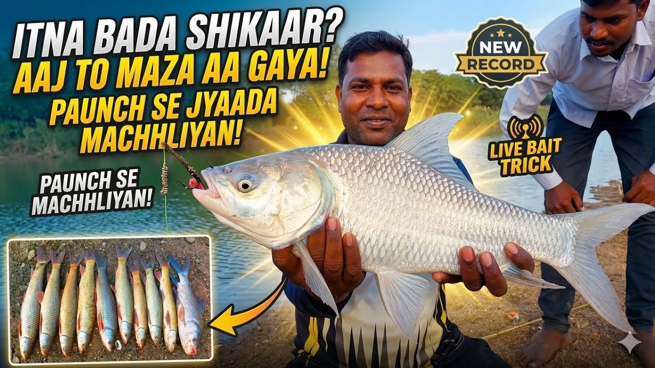 Hook Fishing Techniques | katla Fish Hunting videos | Fishing Videos in ...