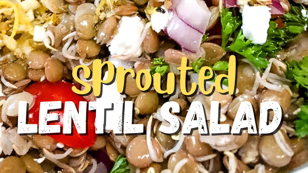 Sprouted Lemon-y Lentil Salad is Your New Favorite Salad! - YouTube