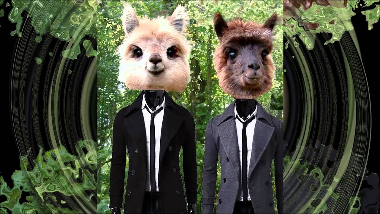 XITUS - Eternus Maximus - YouTube