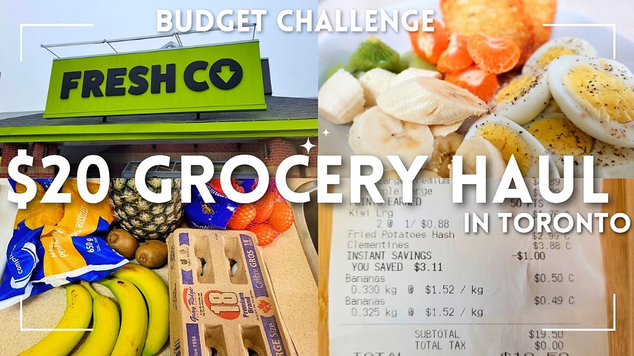 $20 Grocery Budget Challenge | Budget & Meal Challenge | Grocery Haul ...