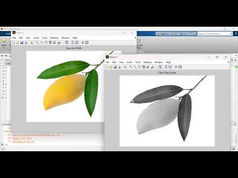 Merubah File RGB ke Gray Pada Aplikasi Matlab - YouTube