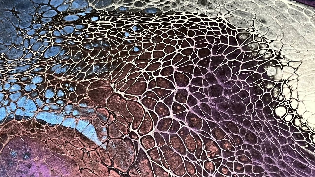 I Waited 2 YEARS For This! My First Aussie Floetrol Swipe! - YouTube