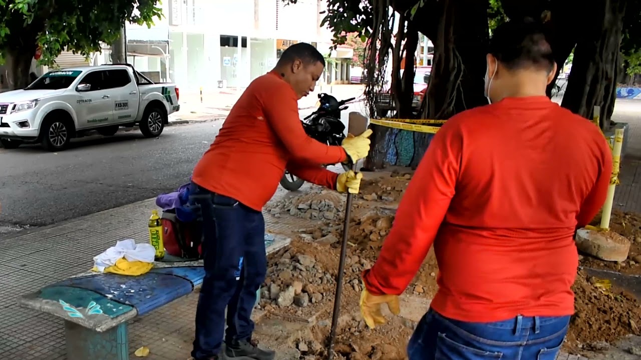 MANTENIMIENTO MANJOL EN AVENIDA LOS CORTIJOS - YouTube