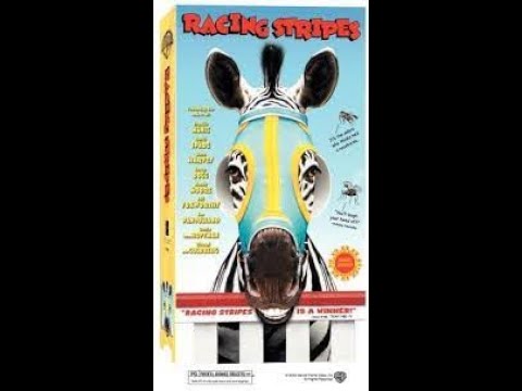 Opening to Racing Stripes 2005 VHS (RARE) - YouTube