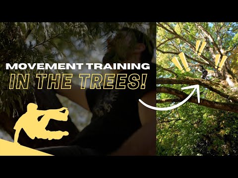 PARKOUR & MOVEMENT TRAINING | High Up & Over the Trees - YouTube