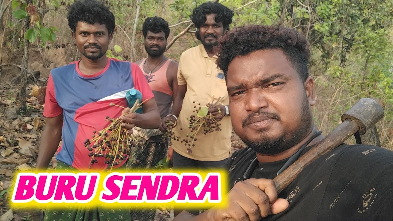 Buru Sendra Le Sen Lena JAMKAO GROUP // Santali Vlogs// Pandith Soren ...