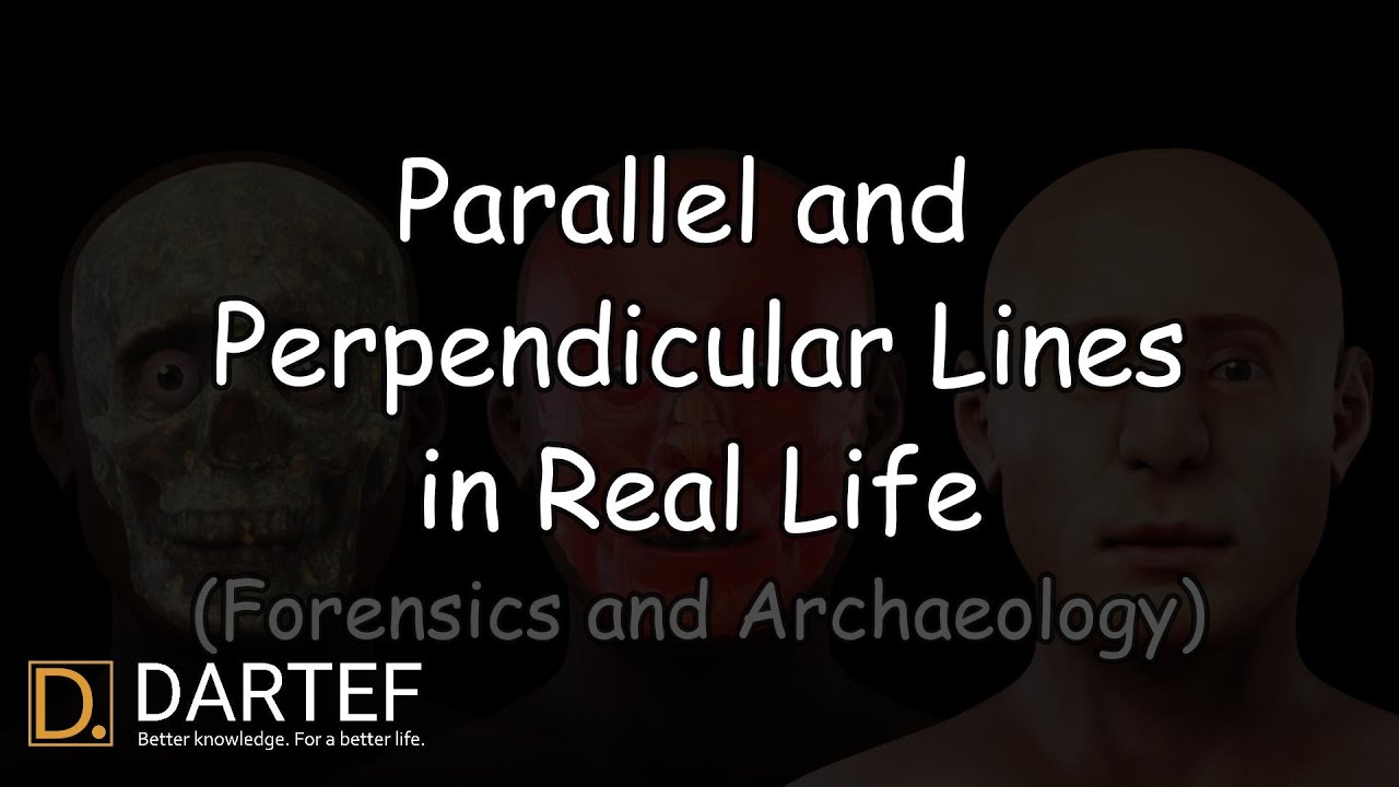 Parallel and Perpendicular Lines: A Real-Life Example (From Forensics ...