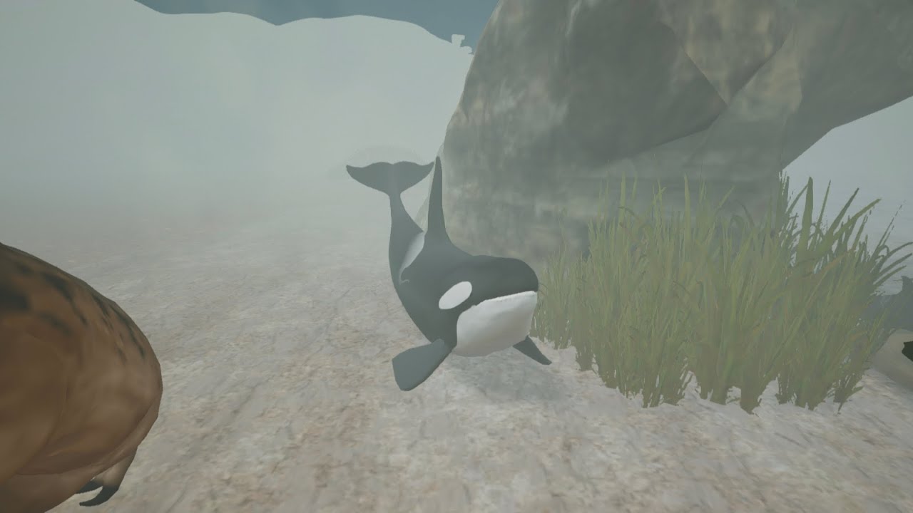 first ever orca land fight in sf at dinos and dragons pvp || path of ...