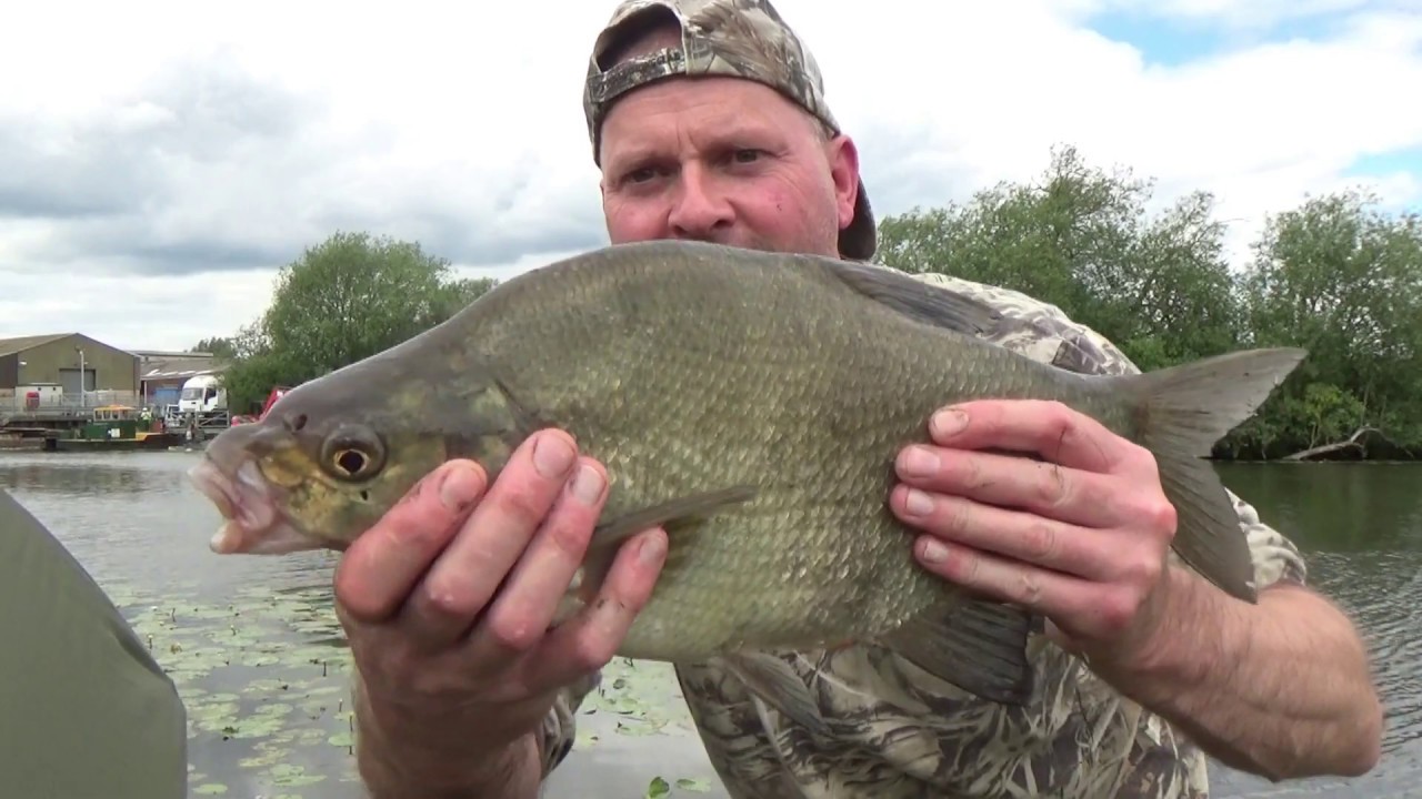 Bream Bonanza. Video 18. - YouTube