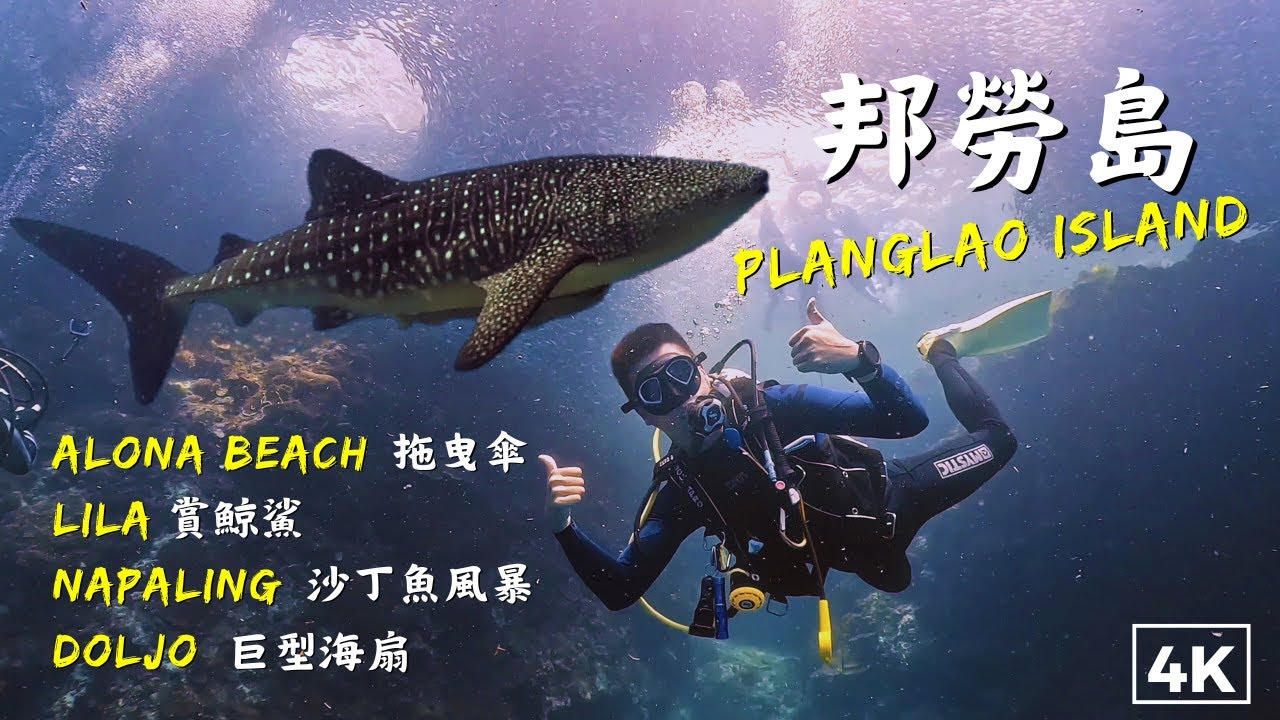 【菲律賓邦勞島 Planglao Island】阿羅那海灘(Alona Beach)玩拖曳傘 | 萊拉(Lila)賞鯨鯊 | 納帕琳礁 ...