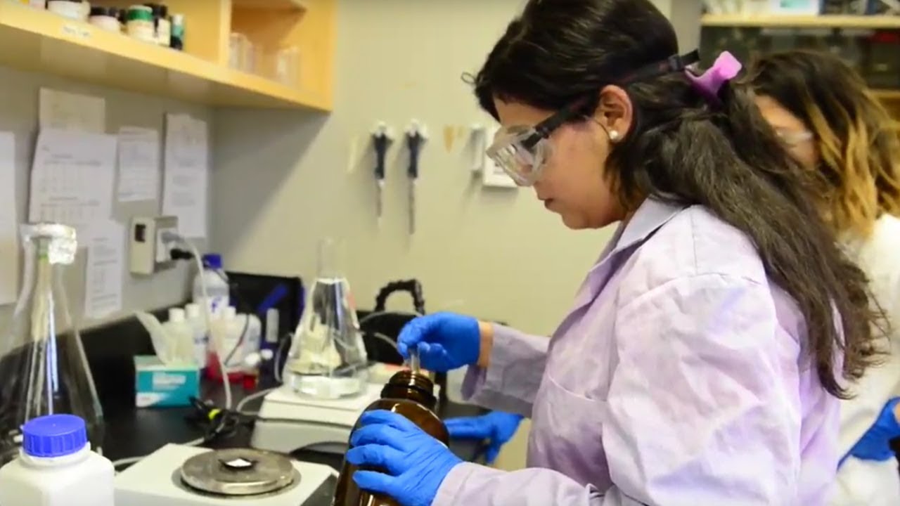 Medical Biophysics Undergraduate Program - YouTube