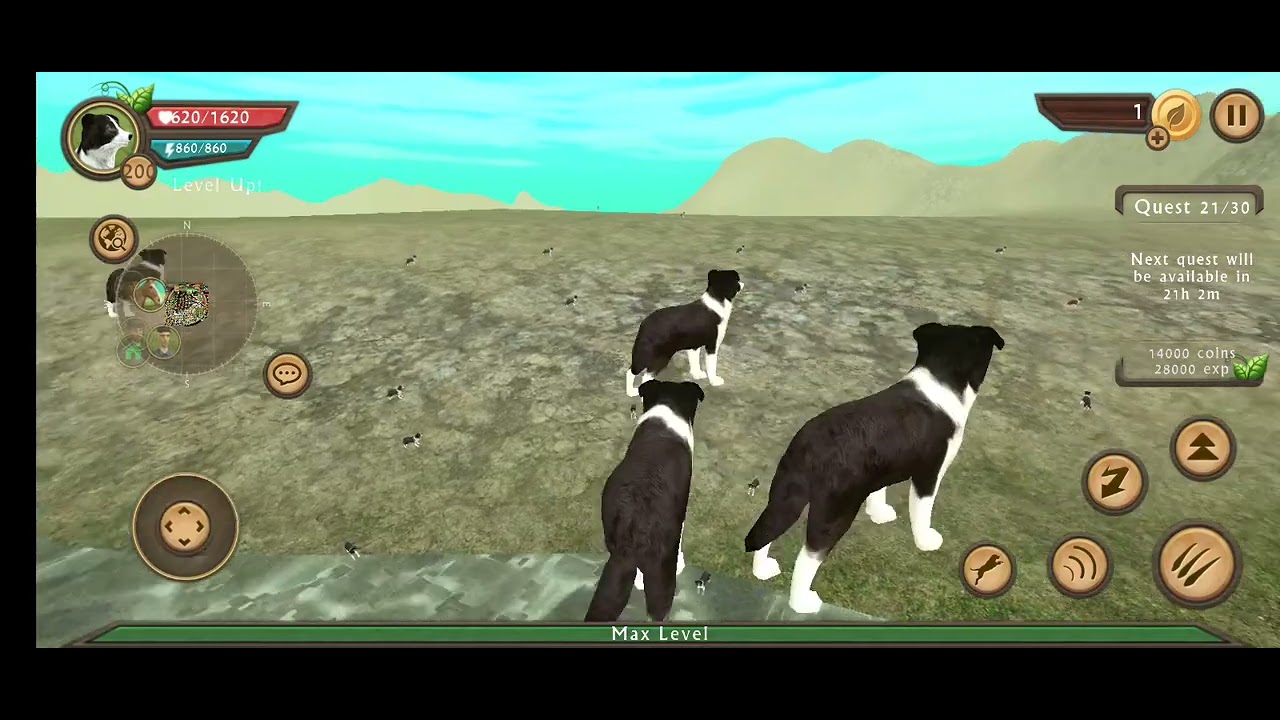 Making A Border Collie Land in Dog Sim - YouTube
