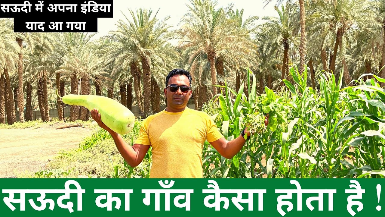 Saudi Arabia village Life | Village Life In Saudi Arabia | Organic ...