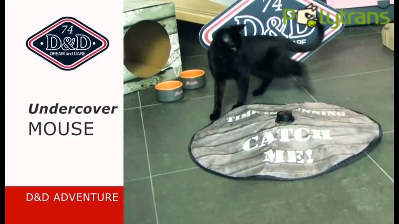 UNDERCOVER MOUSE - YouTube