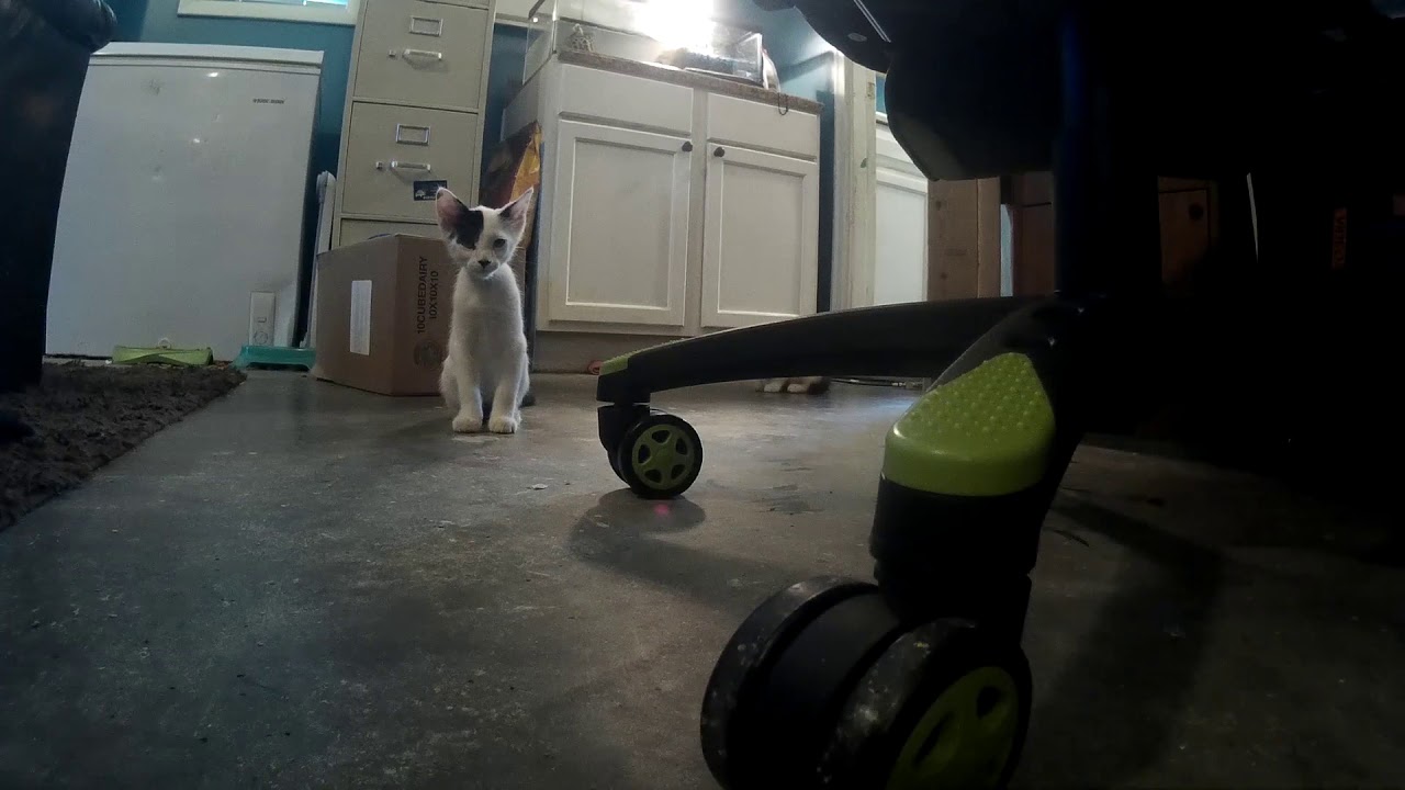 fake go pro on a RC car for fun - YouTube