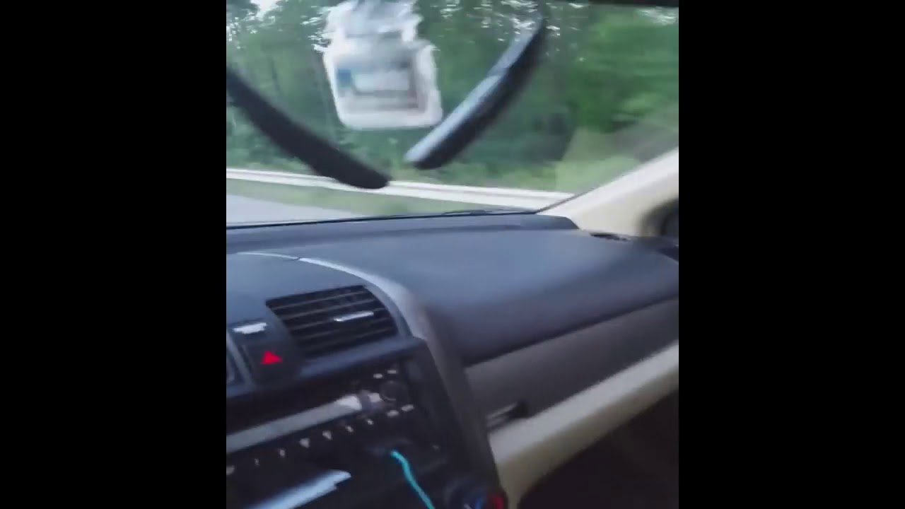 Dog Poops On Owner While She Is Driving - YouTube