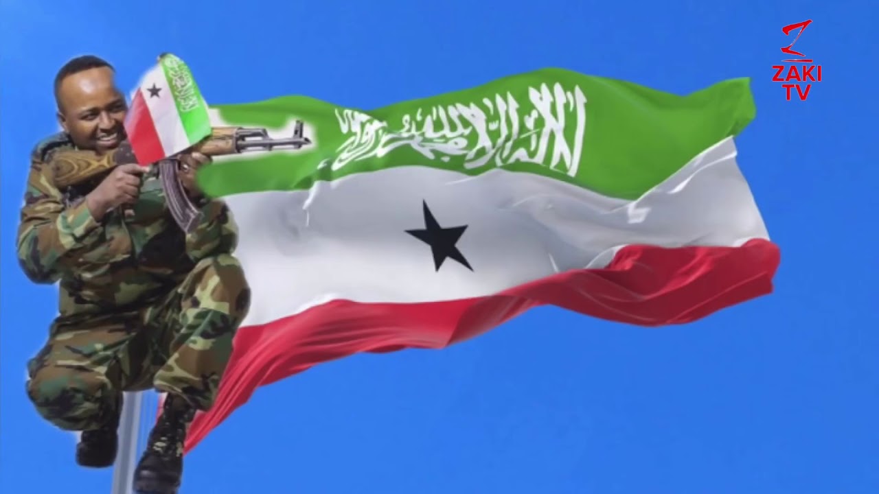 Mohamed Bk Hees Cusub 18 May 2020 Official Somali Music HD - YouTube