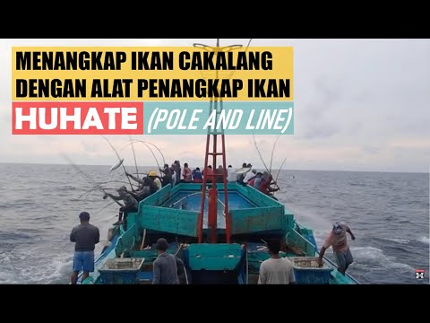 Menangkap Ikan dengan Huhate - Pole and Line. - YouTube