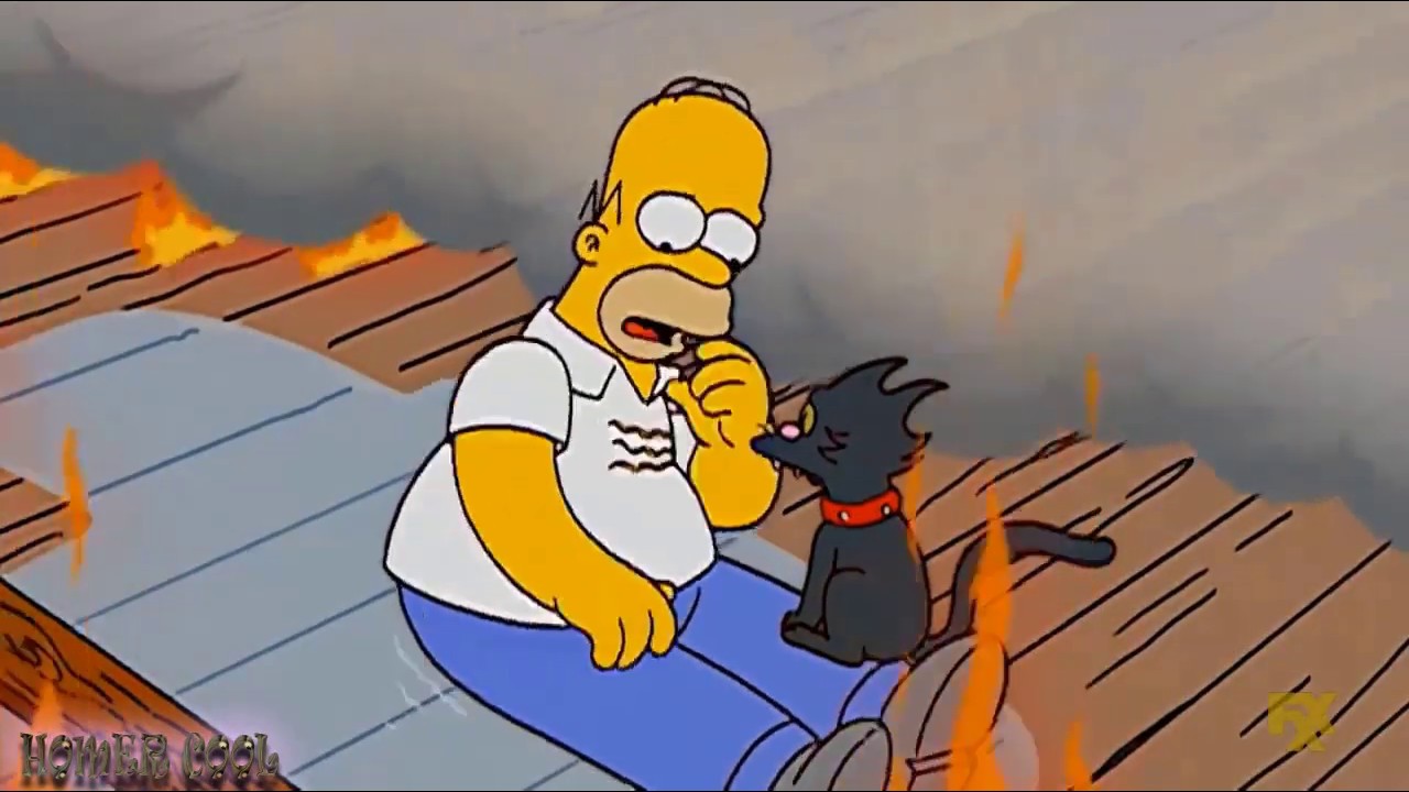 The Simpsons - The Cat Saved Homer From The Fire! - YouTube