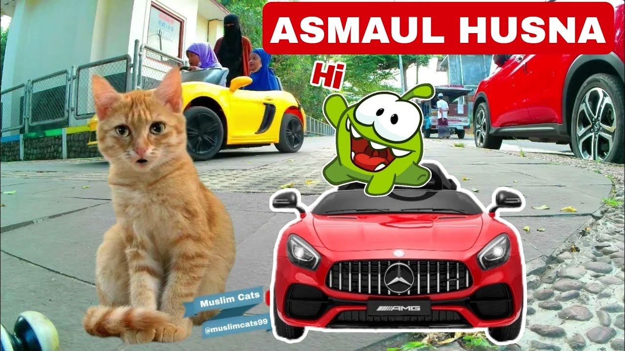 Asmaul Husna cover by Cat | 99 nama-nama baik Allah | Asma'ul husna ...