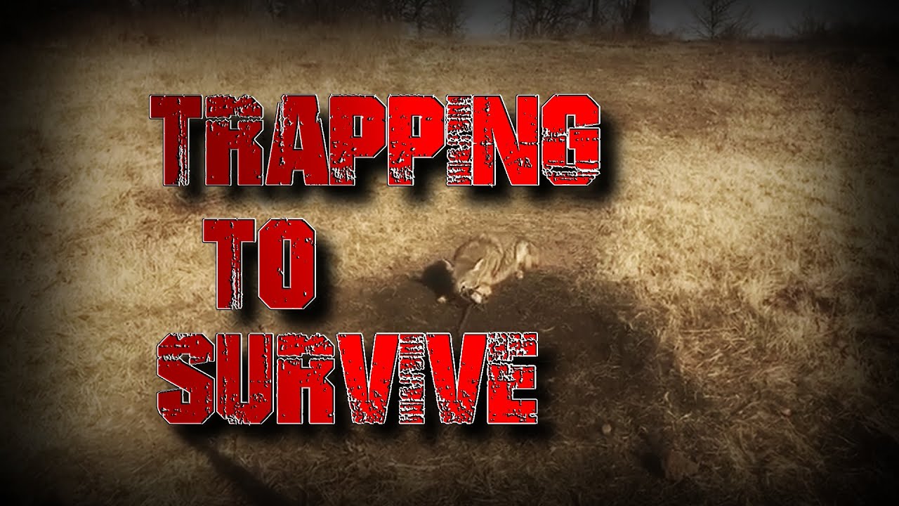 Trapping To Survive: Long Term - YouTube