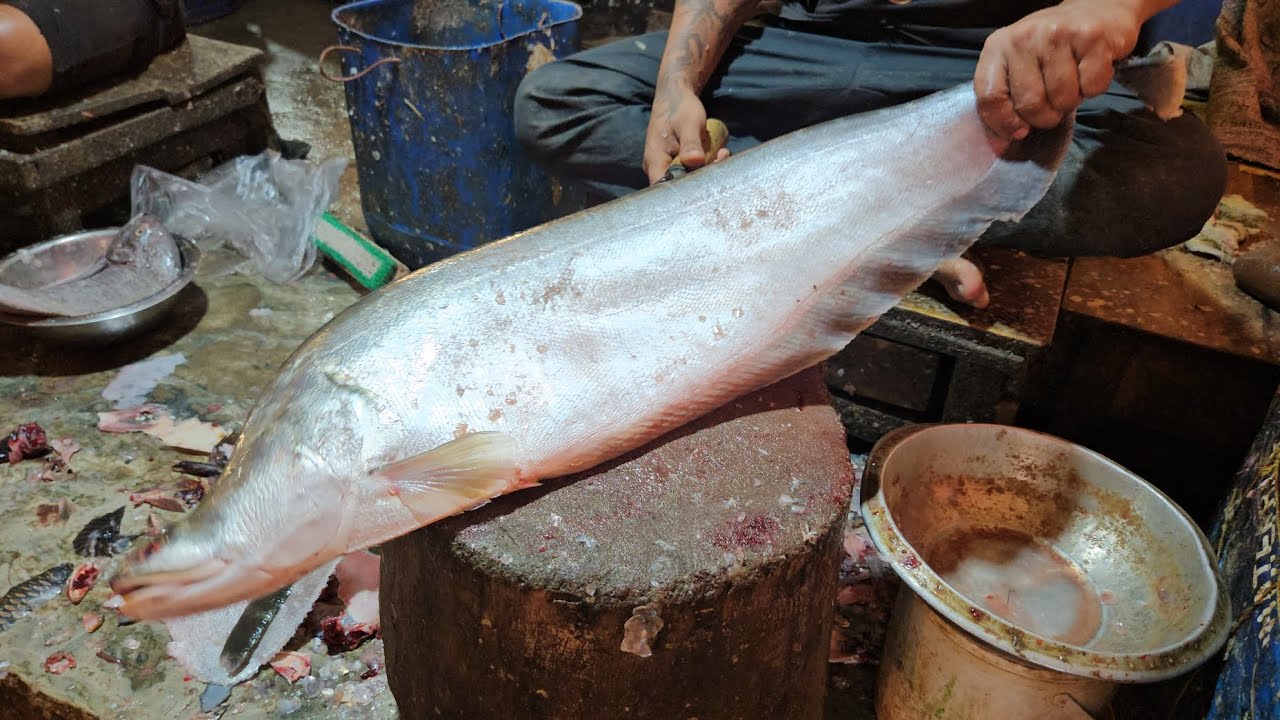 Ctg Cutting Fisher for(Chowk Bazar) 8kg chital fish big fish Fish ...