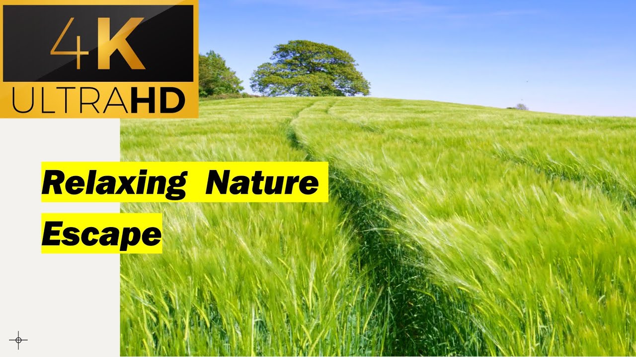 Relaxing Nature Escape 4K I Pure Nature Sounds I Magnifique Paysage ...