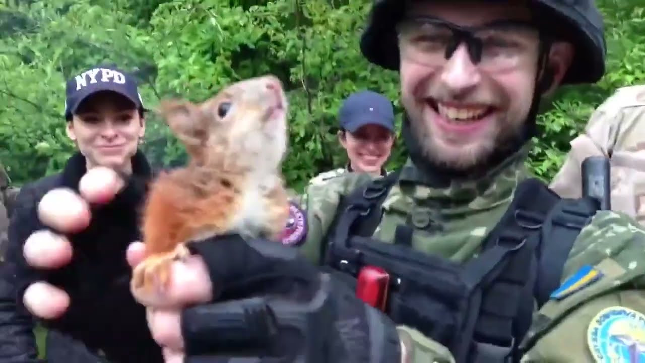 Friendly Squirrel Follows Soldiers || ViralHog - YouTube