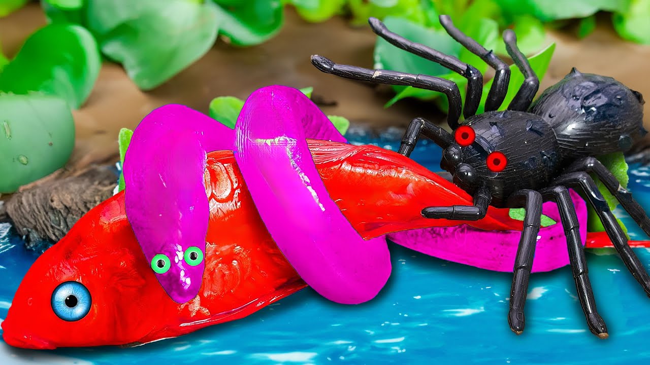 New funny fish video💕RAINBOW CARP transforms into Spider Man to fight ...