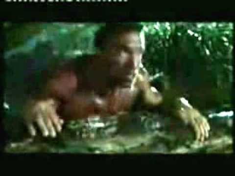 Копия видео Пародия на хищника (серая шейка) часть 2