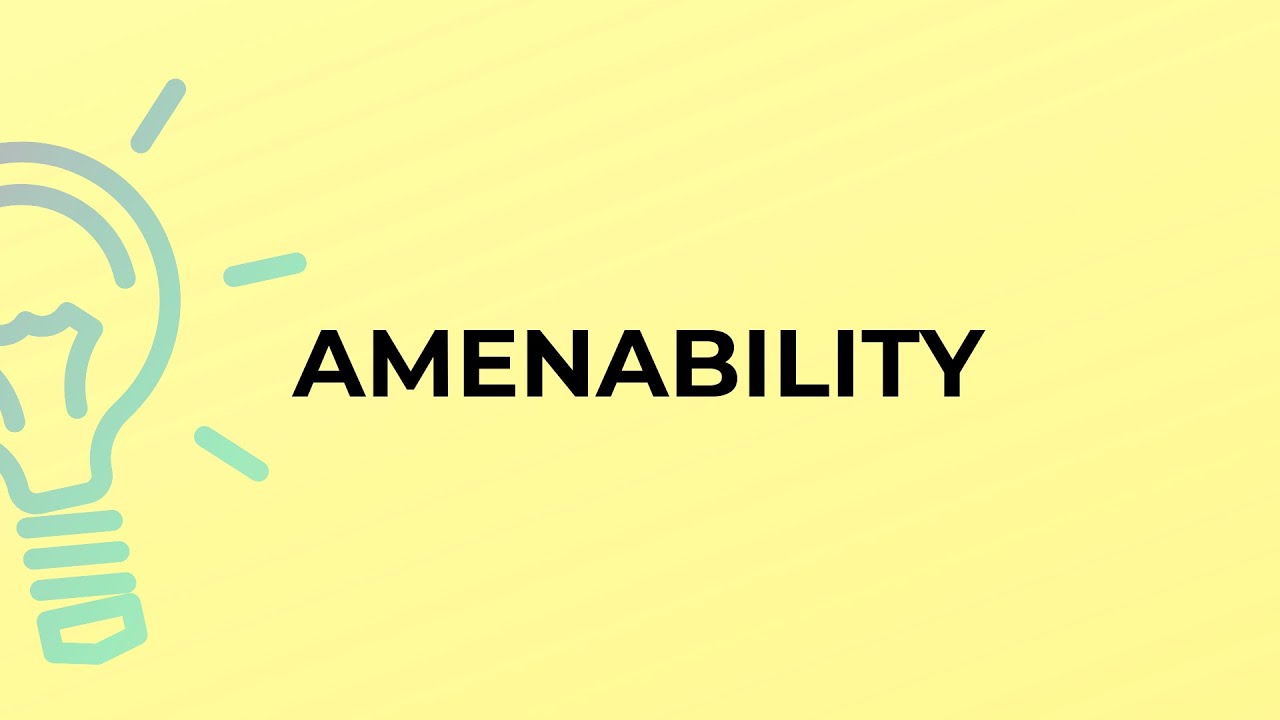 What is the meaning of the word AMENABILITY? - YouTube
