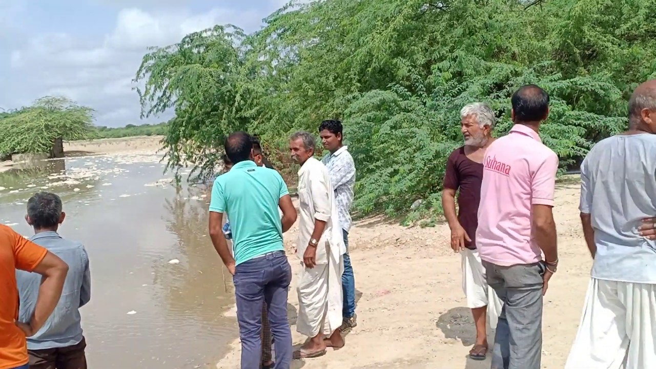 ( luni nadi )समदड़ी से कुछ दूर पहुंचा लूनी नदी में पानी शाम तक बालोतरा ...