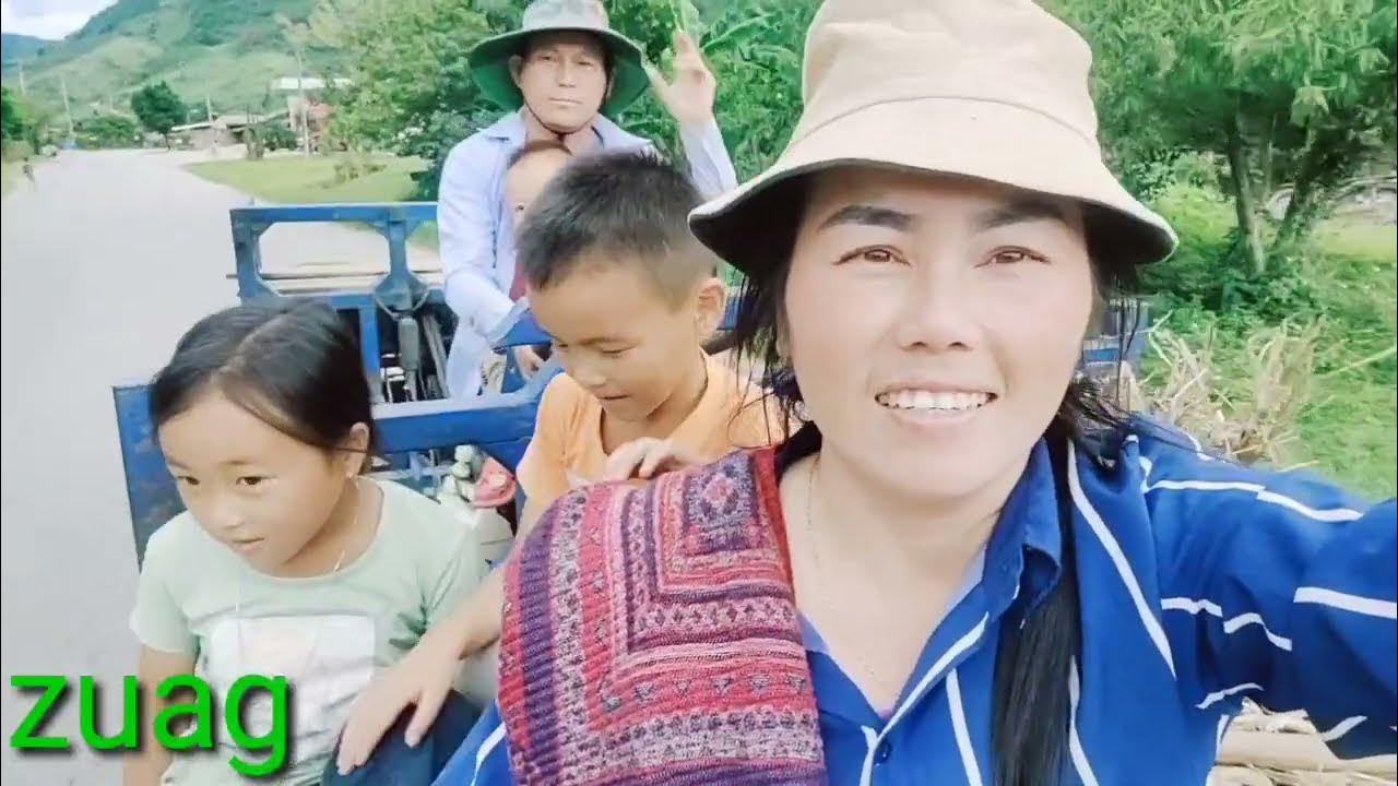 peb mu cog zaub nyuj thiab saib pob kws - YouTube