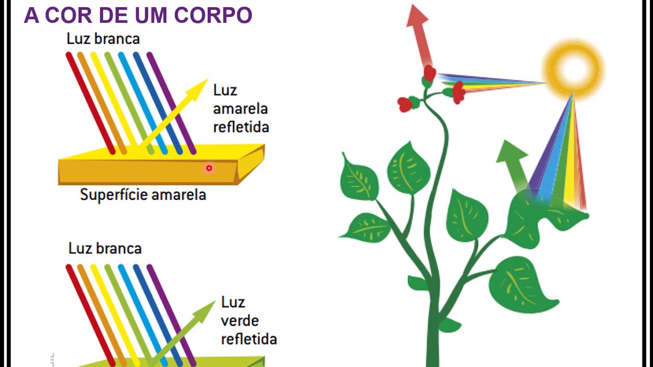 Óptica_V01: Fenômenos ópticos, Cores dos corpos, Princípios de óptica ...