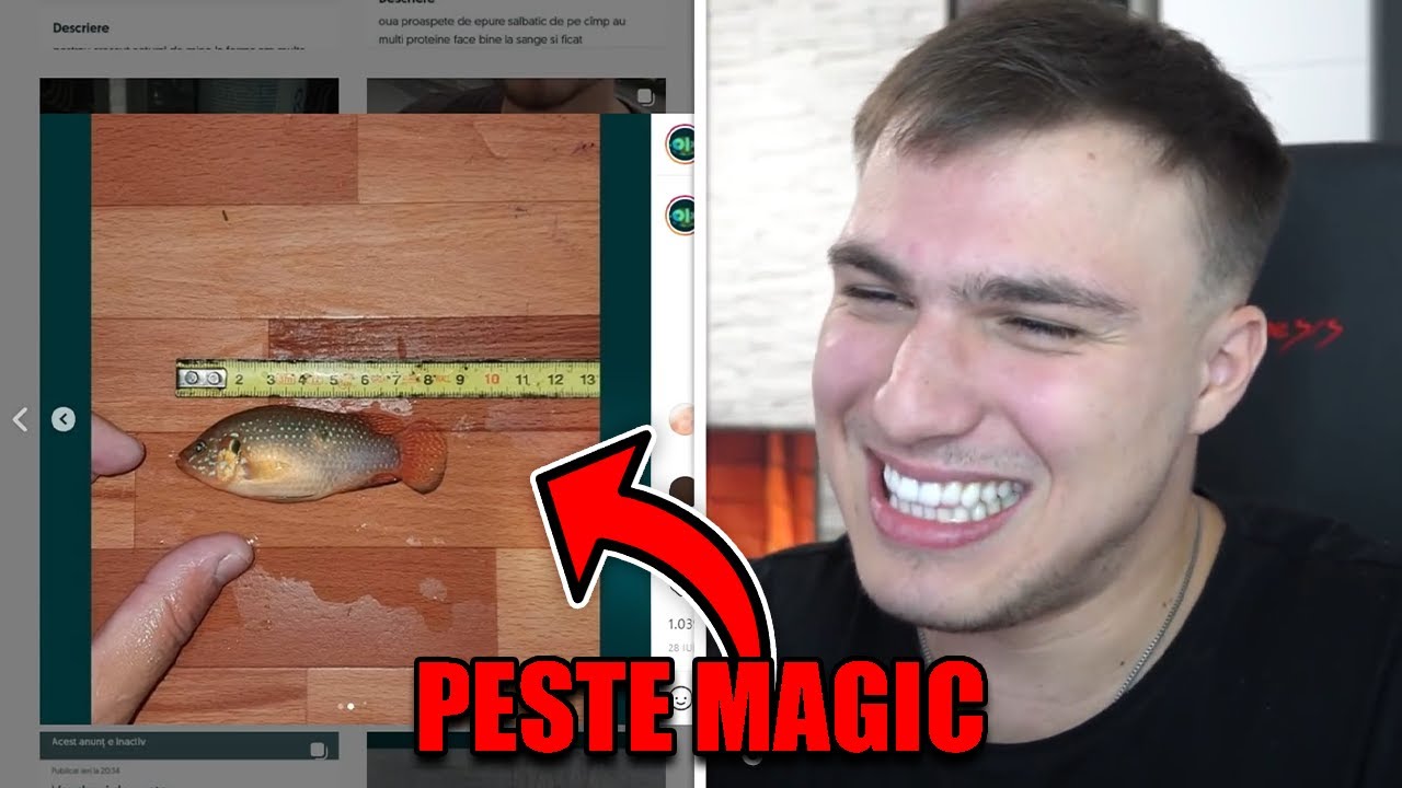SNIK REACTIONEAZA FUNNY MOMENTS - YouTube