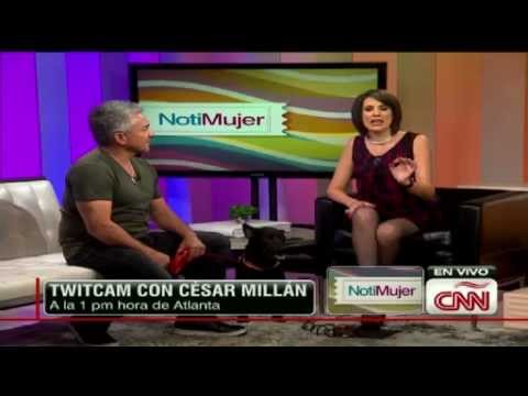 Mercedes Soler hablá con el "Encantador de Perros" César Millán en CNN ...