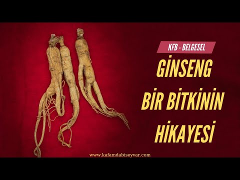Kafamda Bişey Var - Belgesel - Ginseng: Bir Bitkinin Hikayesi