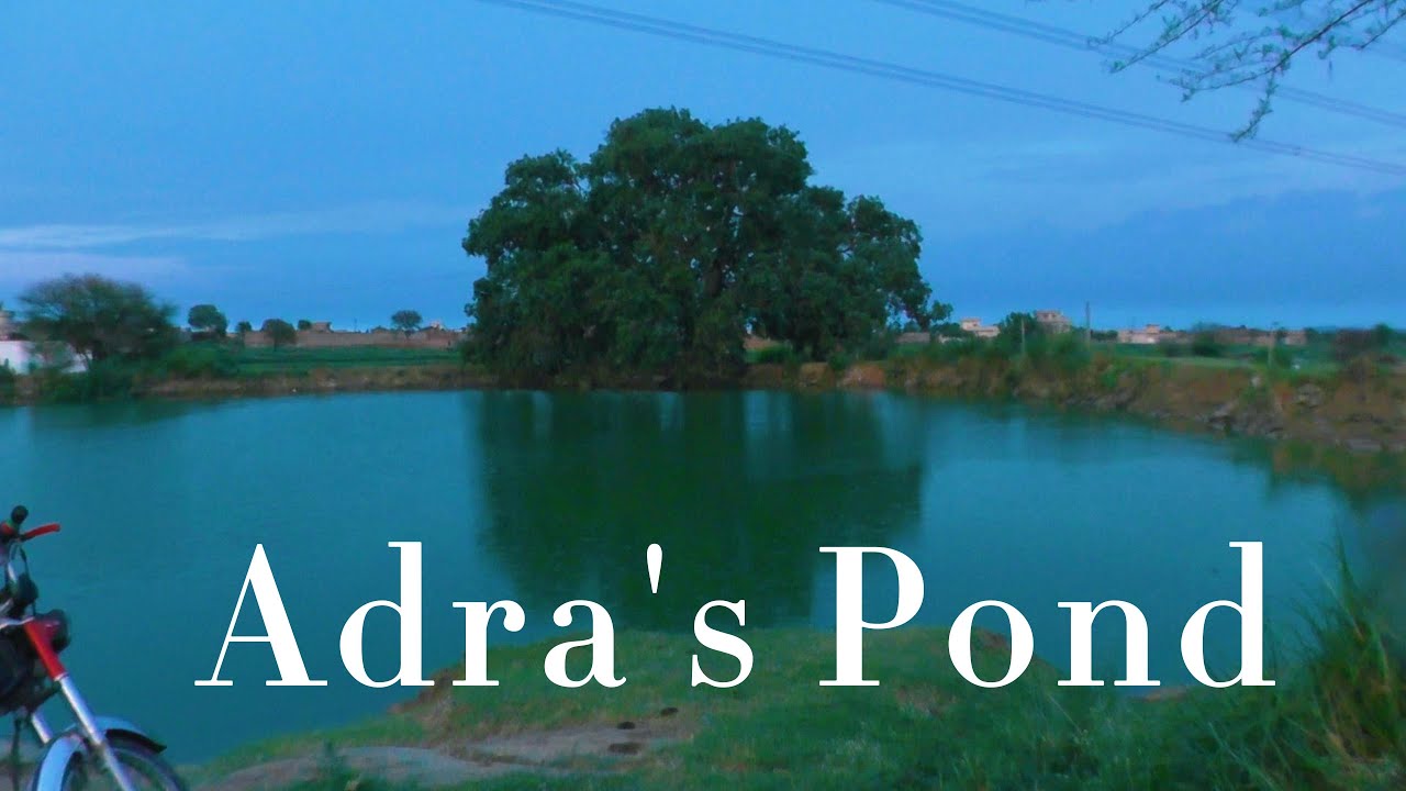 Usman Zada Adra's Pond | Oldest Tree in Adra | Vlogsbyfaizi - YouTube