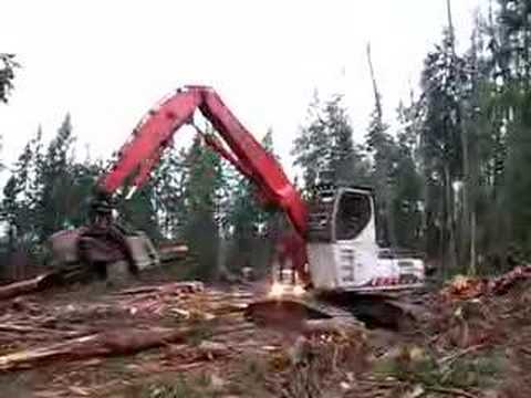 Rygaard Logging - YouTube